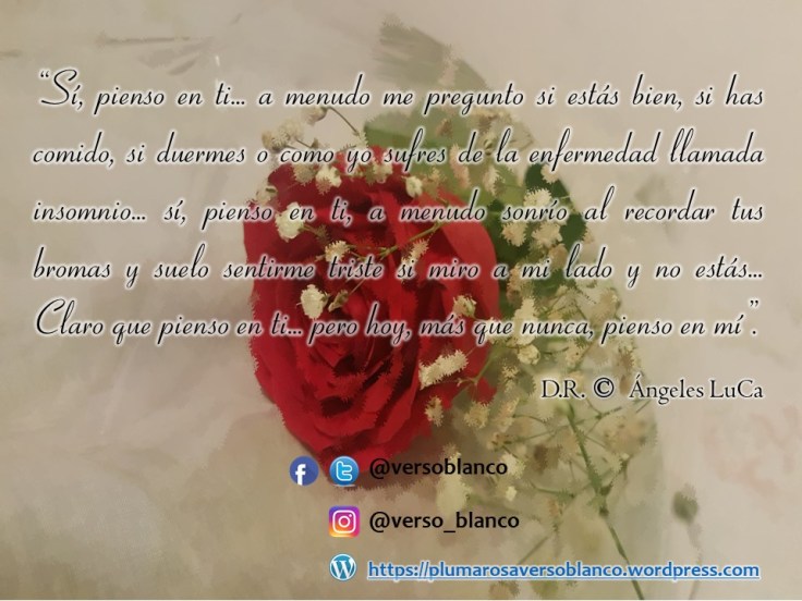 La última rosa – Pluma Rosa Verso Blanco